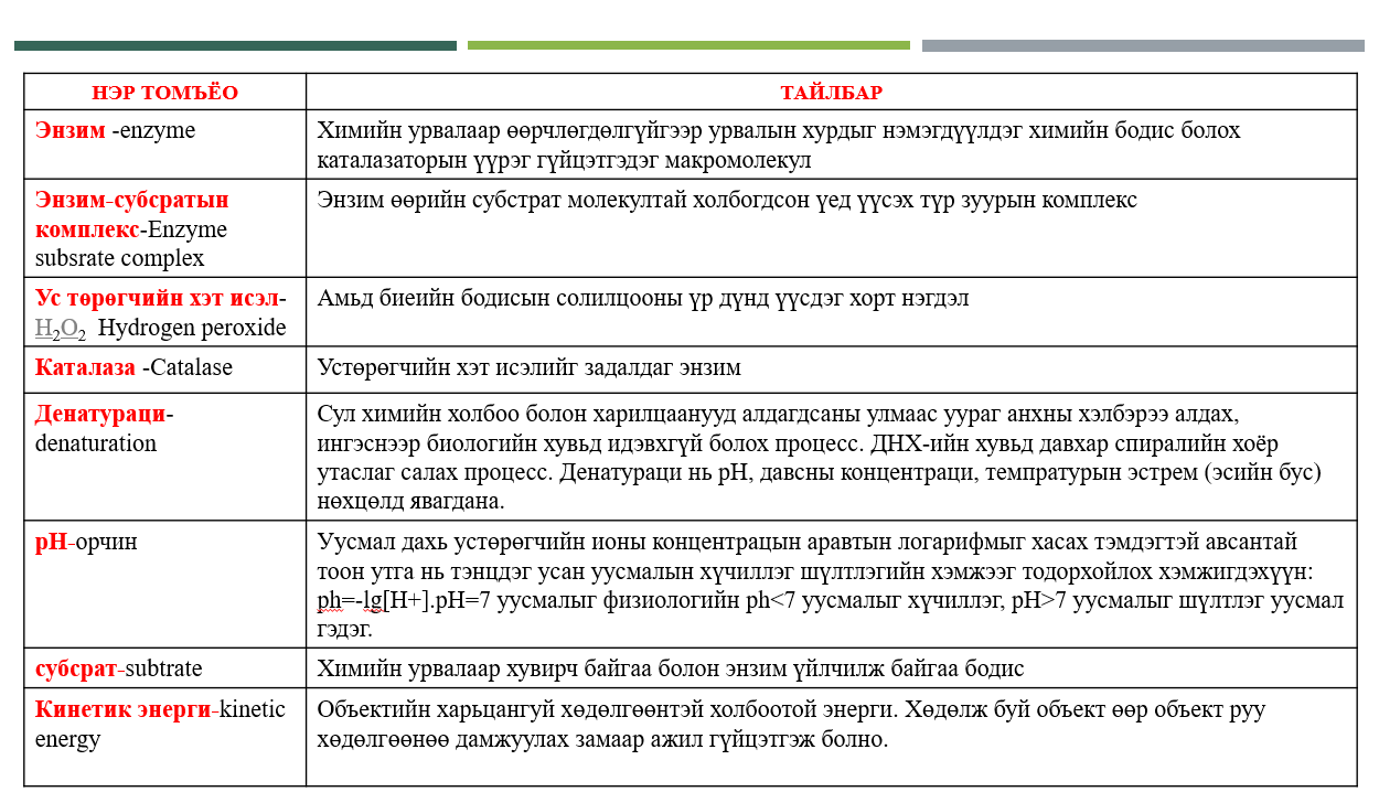 Мэдлээ Цахим контент